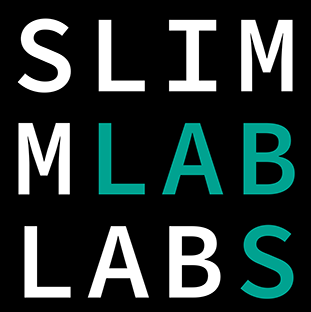 SLIMM Lab · GitLab